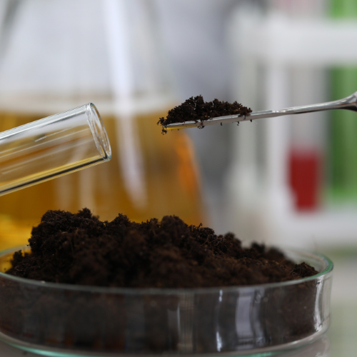 Your Guide to Florida Fertilizer | Council-Oxford Inc.